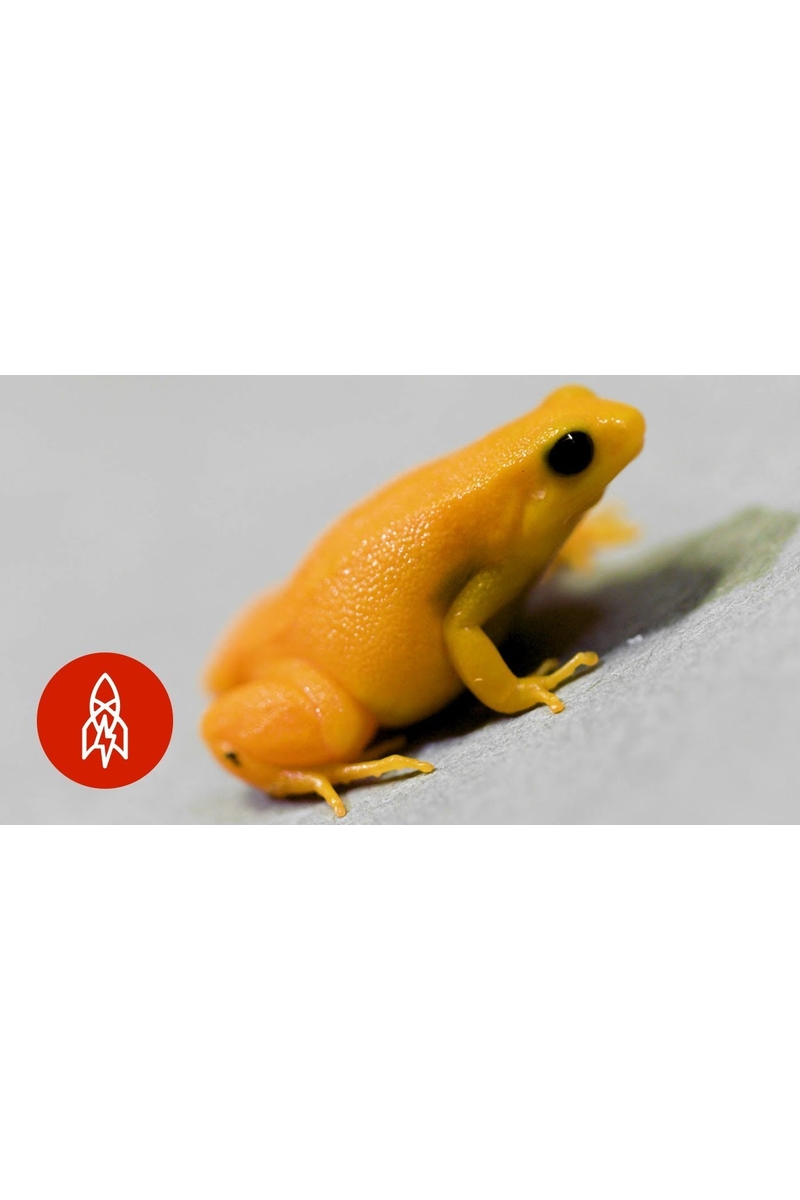 Ciencia.-Nueva imagen de un enorme 'duende rojo' en la atmósfera terrestre