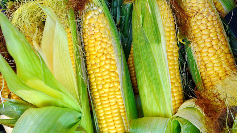 The Absolute Best Way To Cook Corn On The Cob