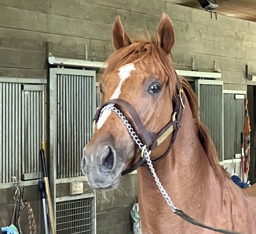 'He'll Find His Niche': Catching Up With Kentucky Derby Winner Rich ...