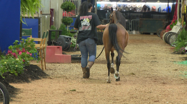 World's Championship Horse Show wraps up at Kentucky State Fair this ...