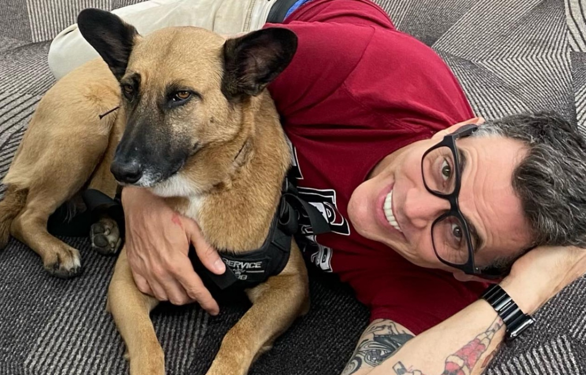 25 celebrities who adopted pets and changed their lives forever
