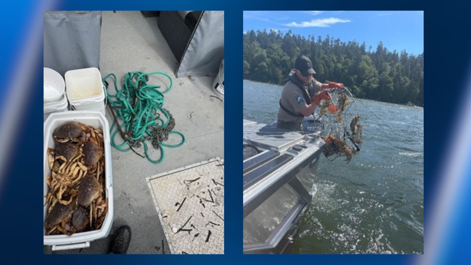 Crabber charged for allegedly taking in twice the limit of crab ...