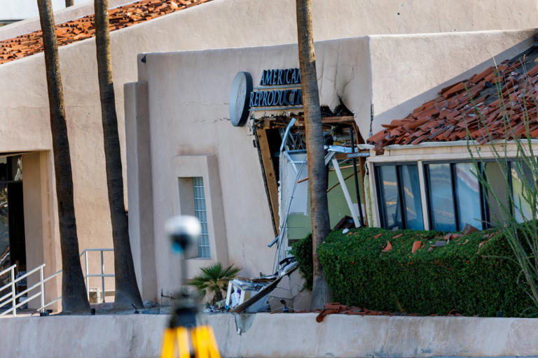 Palm Springs IVF clinic announces first pregnancy since terrorist bombing