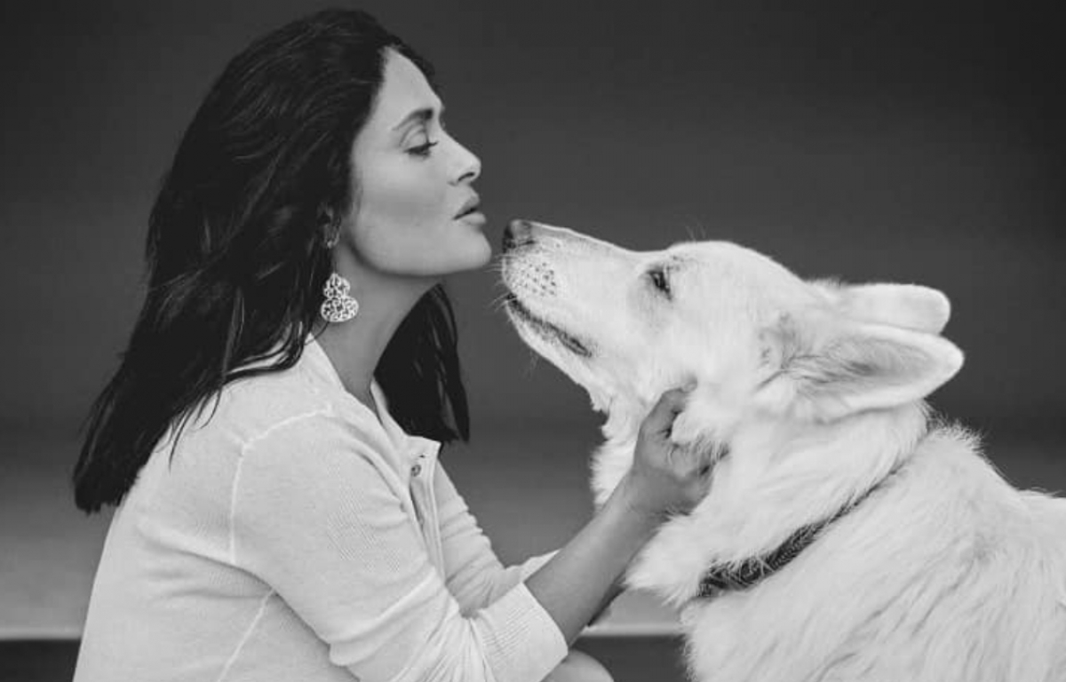 25 celebrities who adopted pets and changed their lives forever