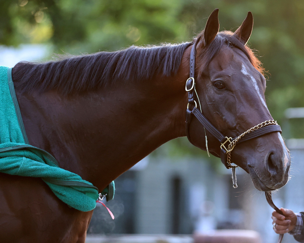 Back in Mott’s barn, Sovereignty’s 2026 debut undetermined