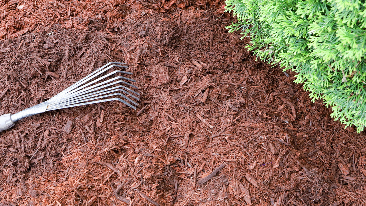 The Benefits of Mulching Your Garden in September