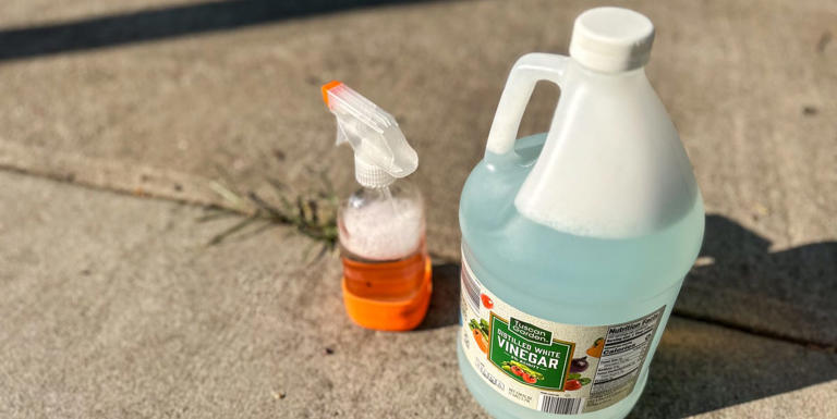 This Homemade Weed Killer Tackles Pesky, Unwanted Plants Without Nasty ...