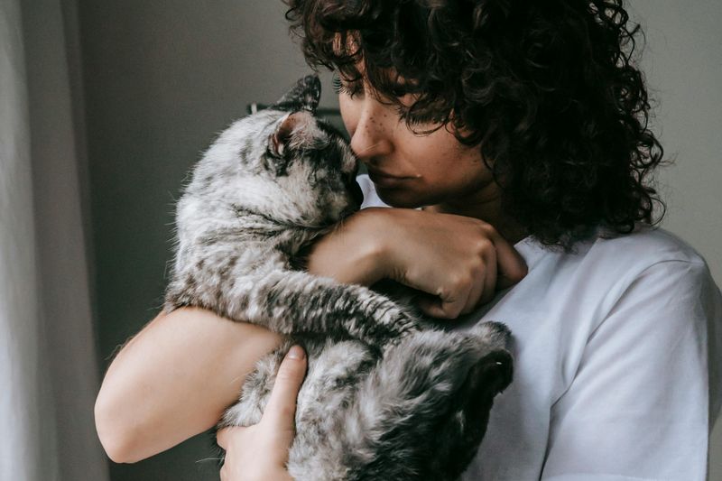 9 Reasons Your Cat May Stare At You