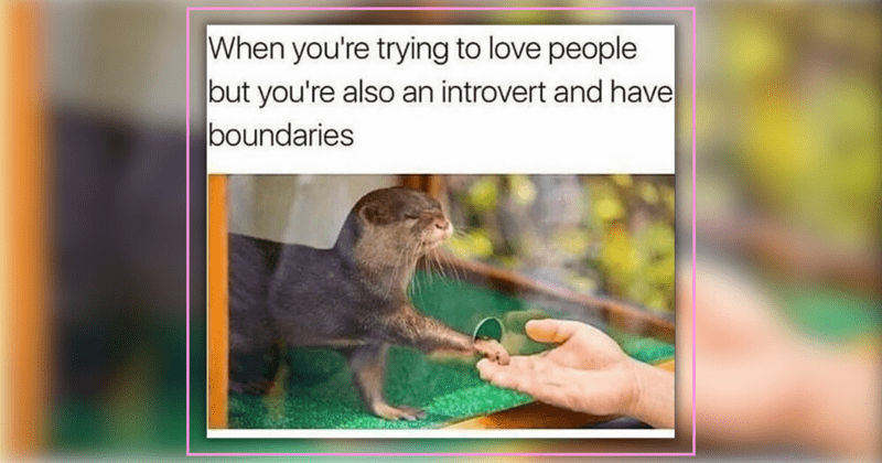 ‘How do you do, fellow extrovert?’: 21 Introvert Memes Ranked by Which ...