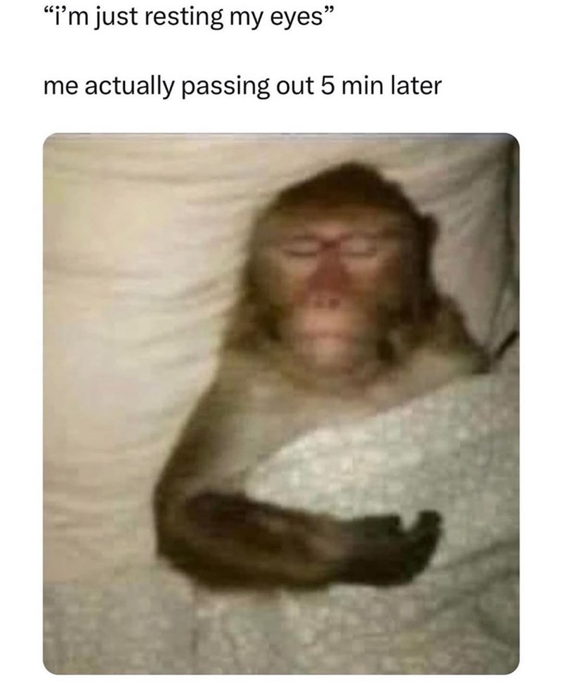 ‘How do you do, fellow extrovert?’: 21 Introvert Memes Ranked by Which ...