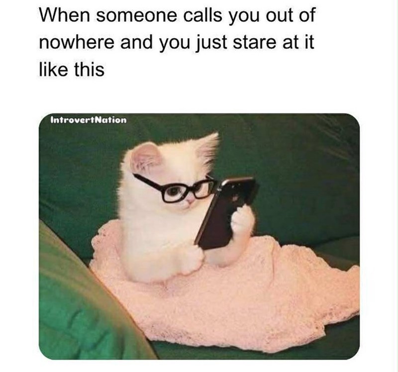 ‘How do you do, fellow extrovert?’: 21 Introvert Memes Ranked by Which ...