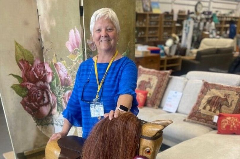 Hand crafted rocking horse is hoping to carve a tidy sum for ...