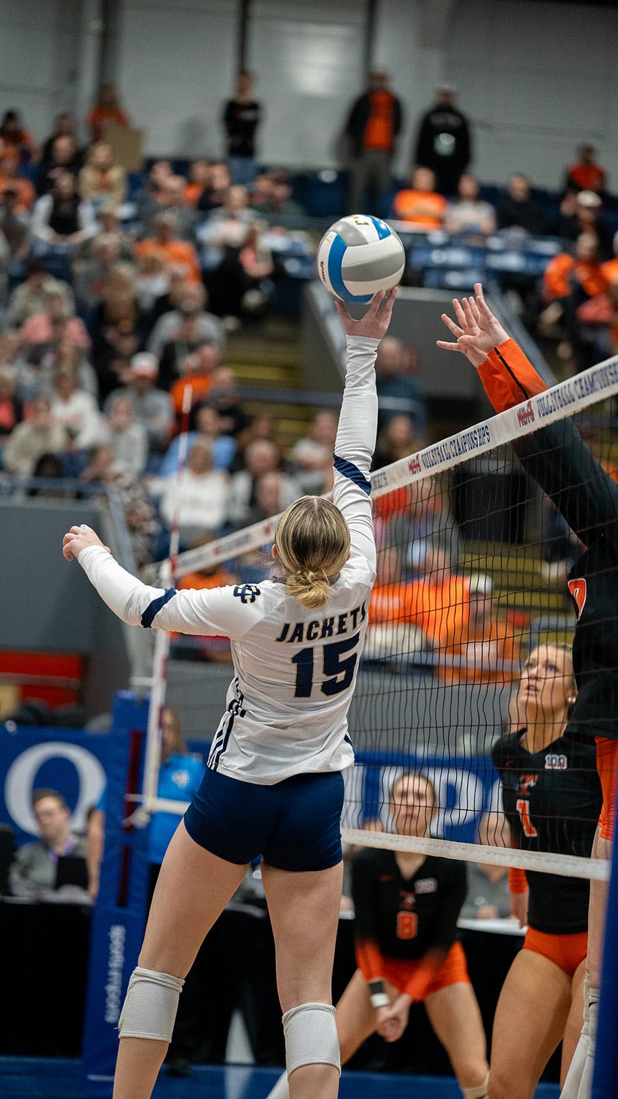 Detroit Free Press Girls Preseason Volleyball Player of Year: Country ...