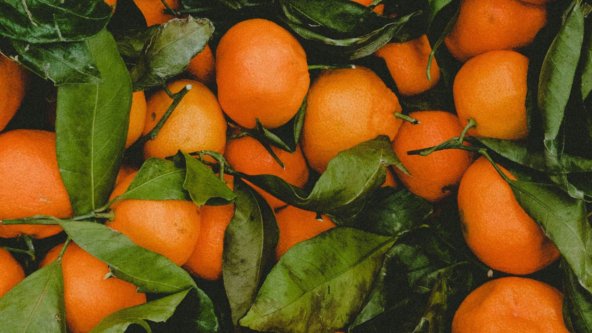 20 Fruits That Help Promote Heart Health