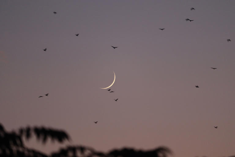 What Is a Black Moon? Why August's New Moon Is Rare