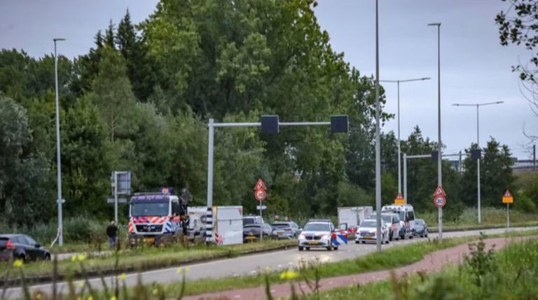 Death of a 17-year old teenager in the Netherlands sparks outrage over violence against women