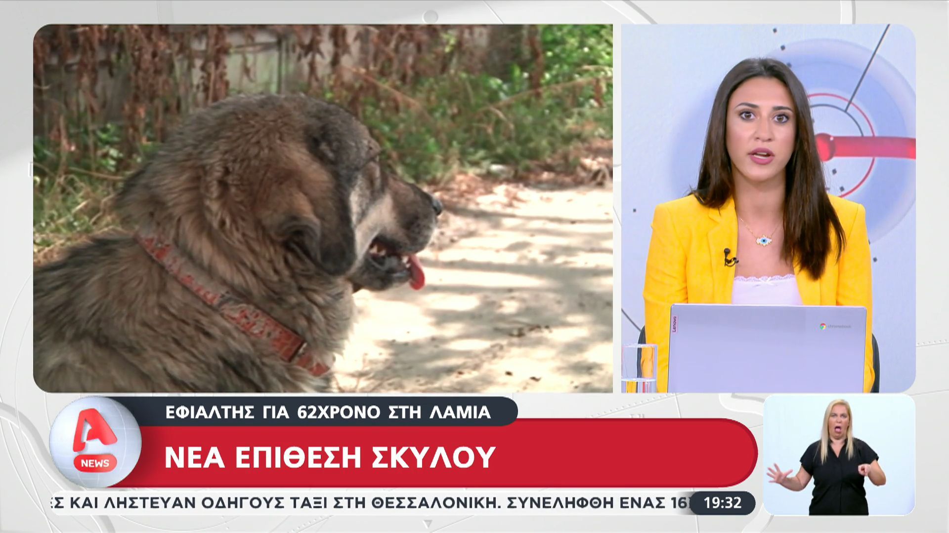 Νέα επίθεση σκύλου - Εφιάλτης για 62χρονο στη Λαμία