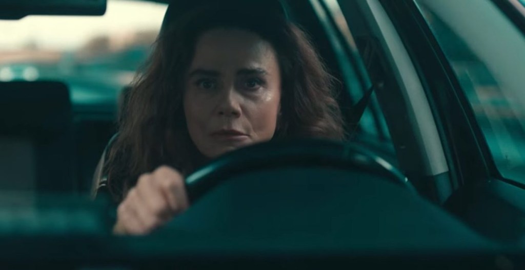 ‘Masterpiece’ Scandi noir series now available to stream for free in the UK