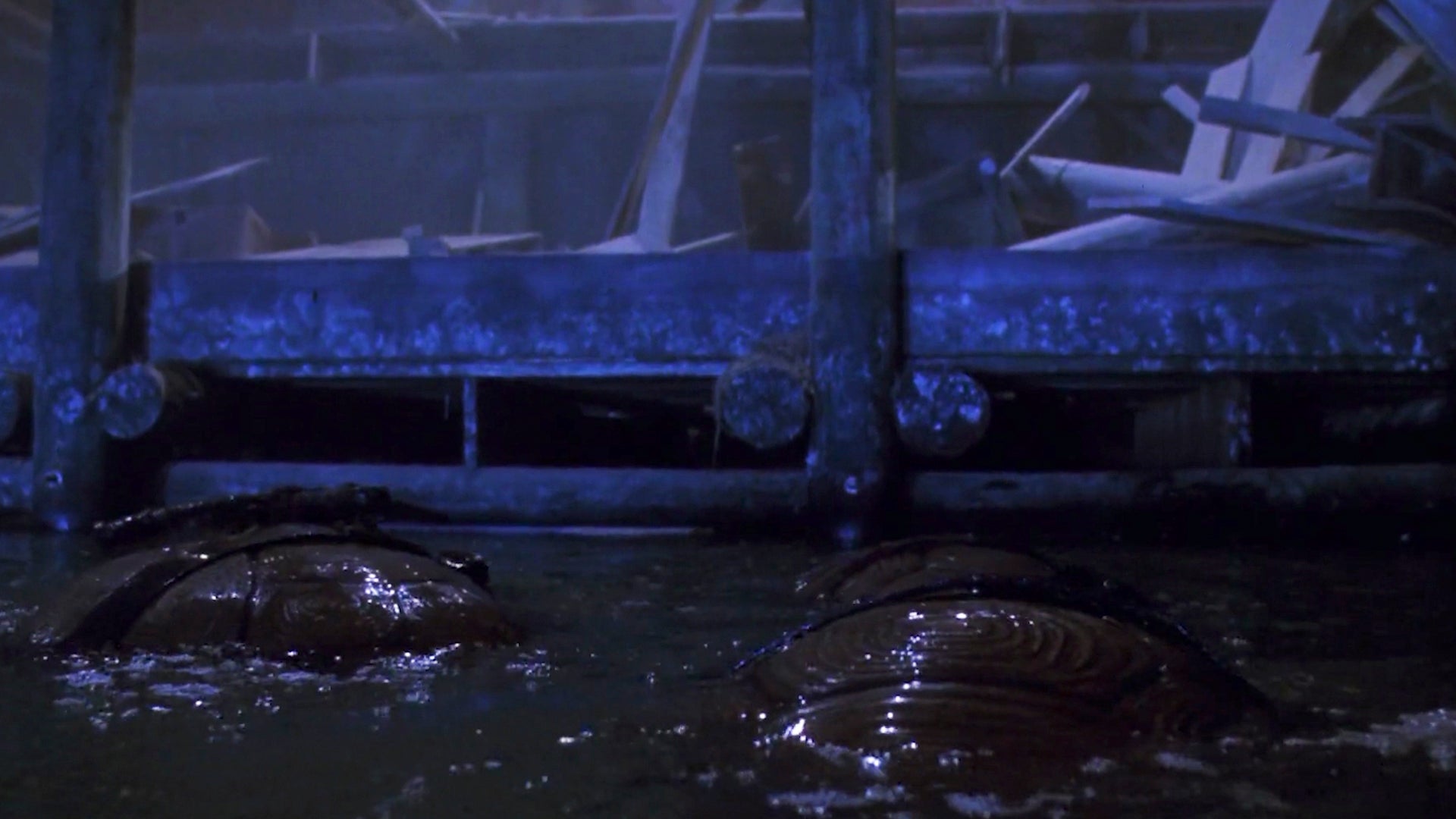 Teenage Mutant Ninja Turtles II: The Secret of the Ooze 35th ...