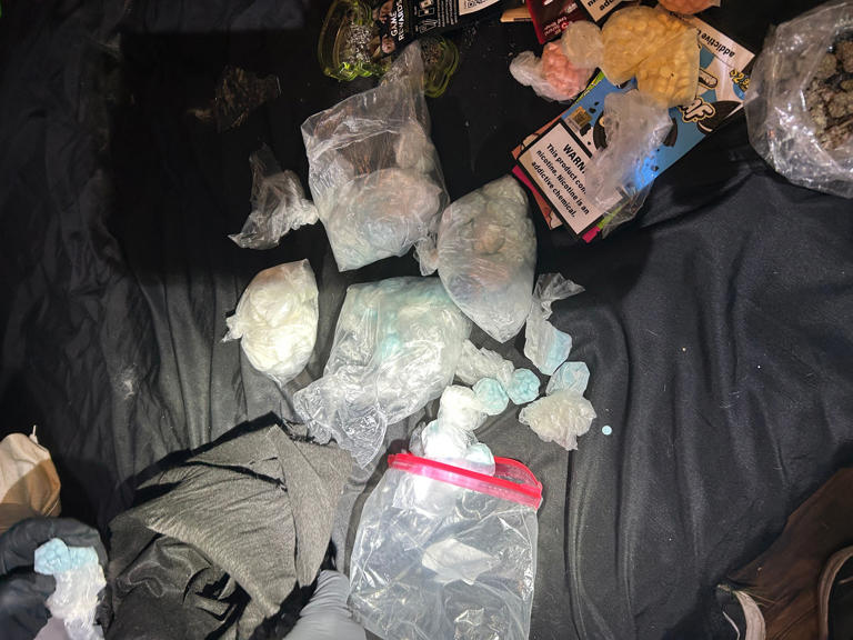 Man being held on $1.5M bond following large drug bust in New Hanover Co.