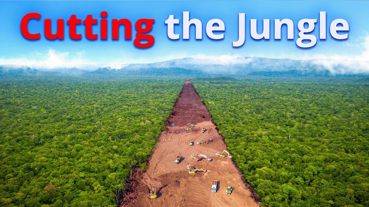Tren Maya: Mexico‘s Biggest Megaproject