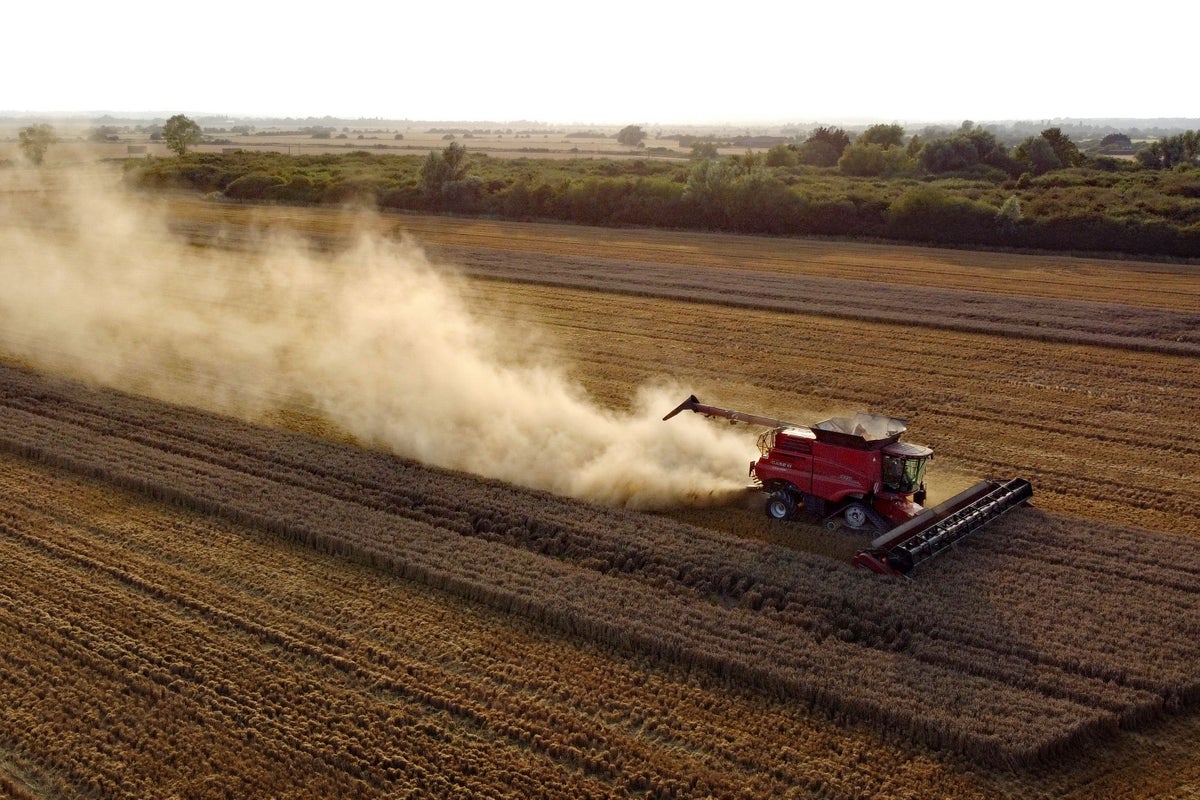 Suspect on the loose after shooting and killing his ex-wife in basement ...