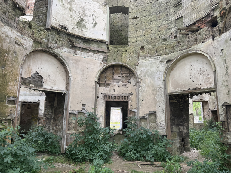 Nature reclaiming abandoned castle