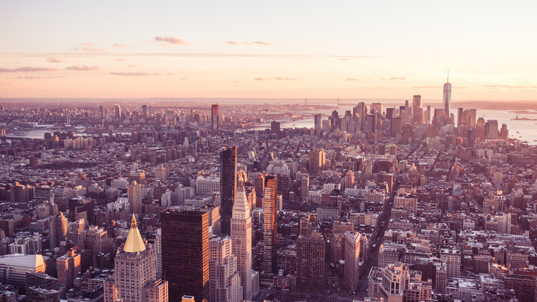 The 19 Best Spots To Grab A Cannoli In NYC