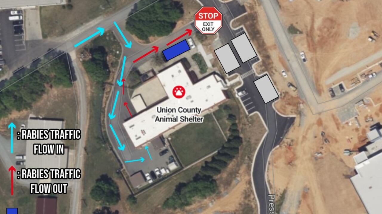 Union County Animal Services hosts adoption event and rabies clinic