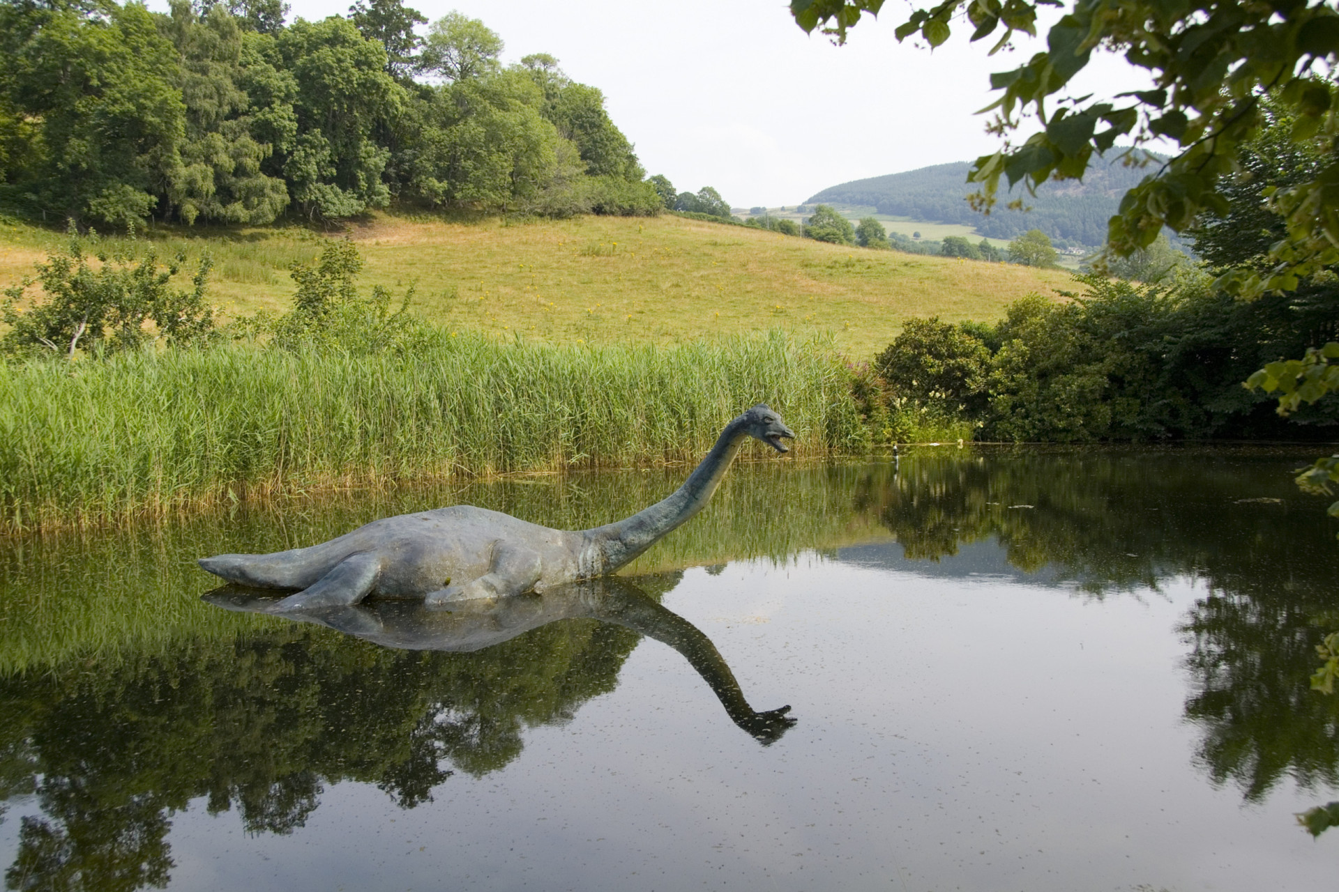 Is Nessie real? The Loch Ness Monster mystery