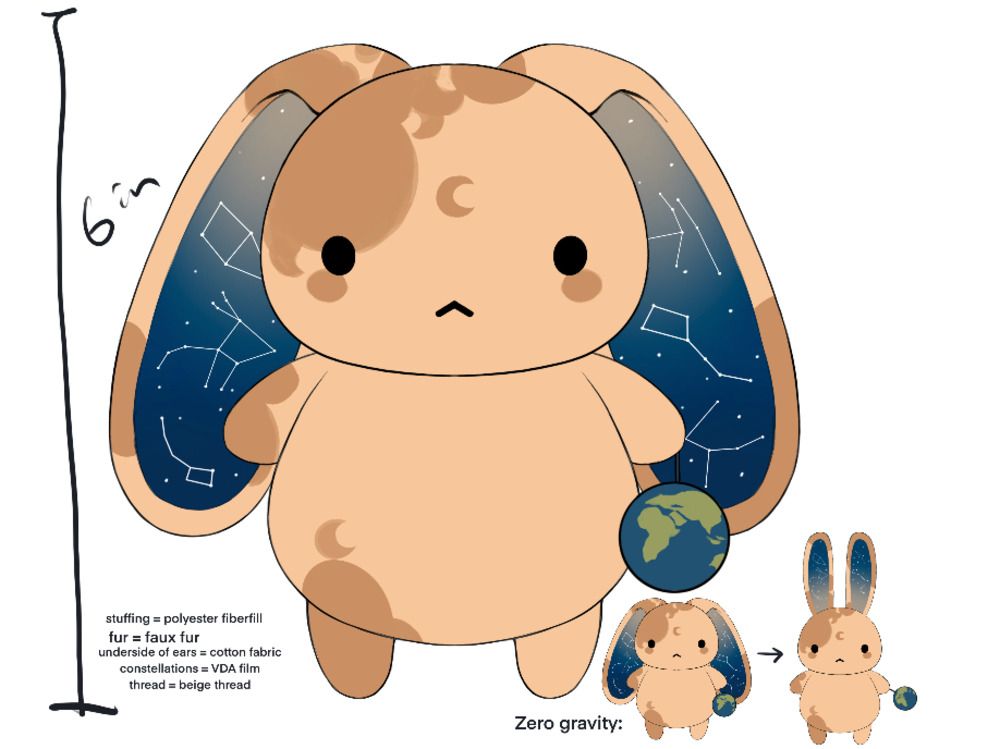 Canadians among finalists in competition to design stuffed toy NASA ...