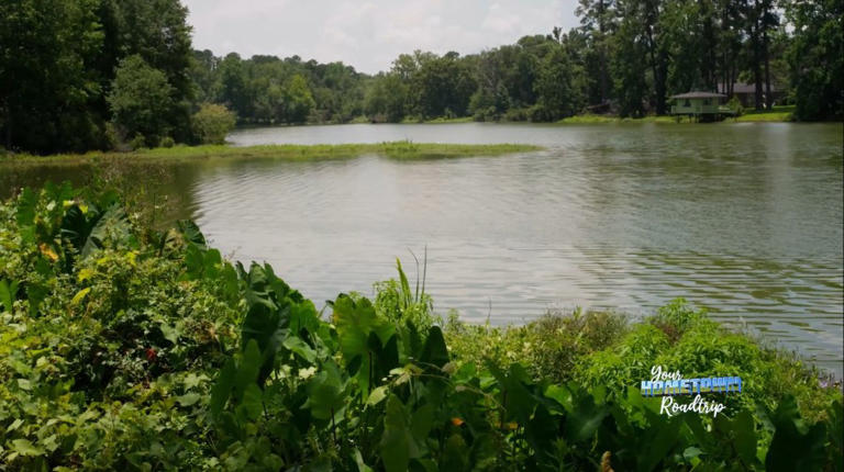 Lakeview Restaurant: Delicious dining with scenic views