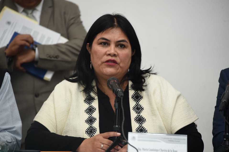 Chavira propone que Senado investigue si la oposición tiene nexos con ...