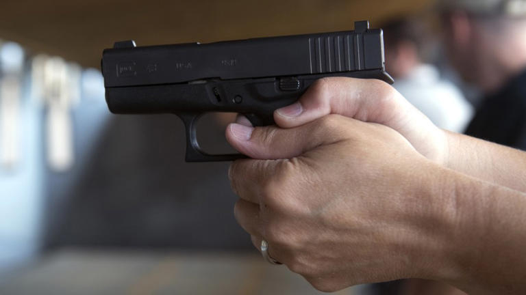 New York gun-tracking law delayed