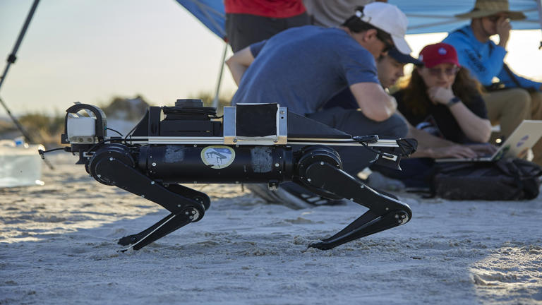 Dog-like robot trains on White Sands dunes to prepare for Moon and Mars ...