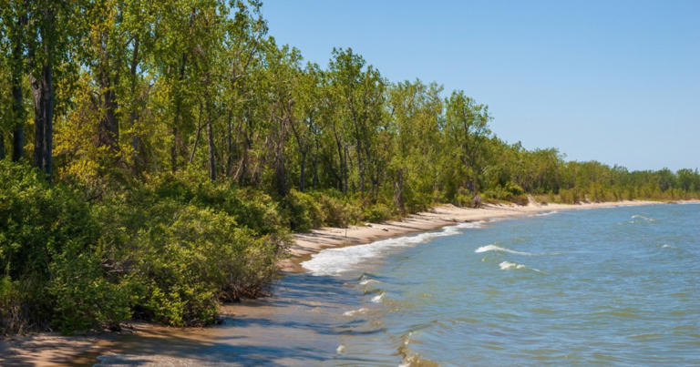 The 7 Best State Park Beaches in Pennsylvania to Close Out Summer