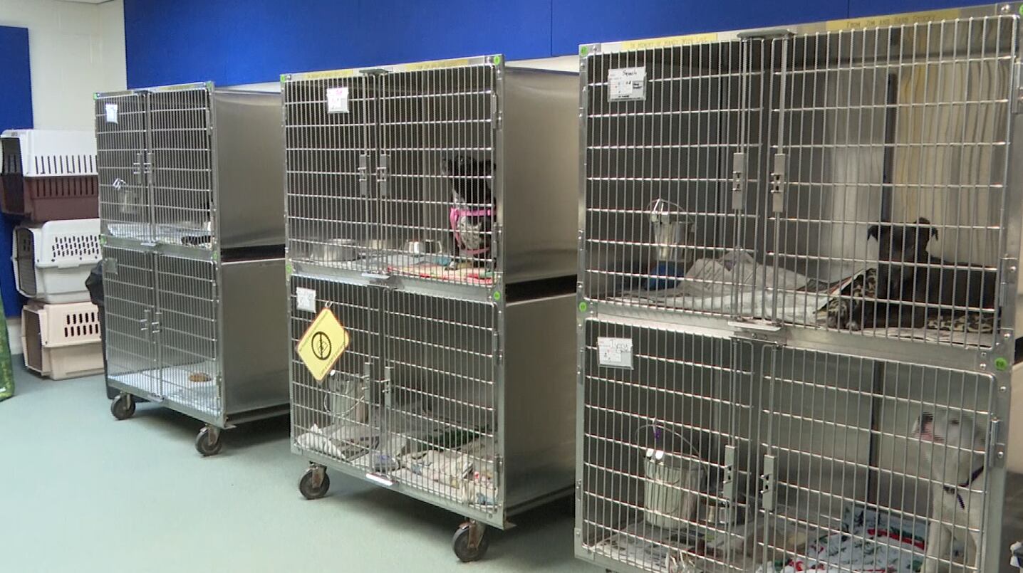 “Clear the Shelter” event with Dothan Animal Shelter and Wiregrass Pets