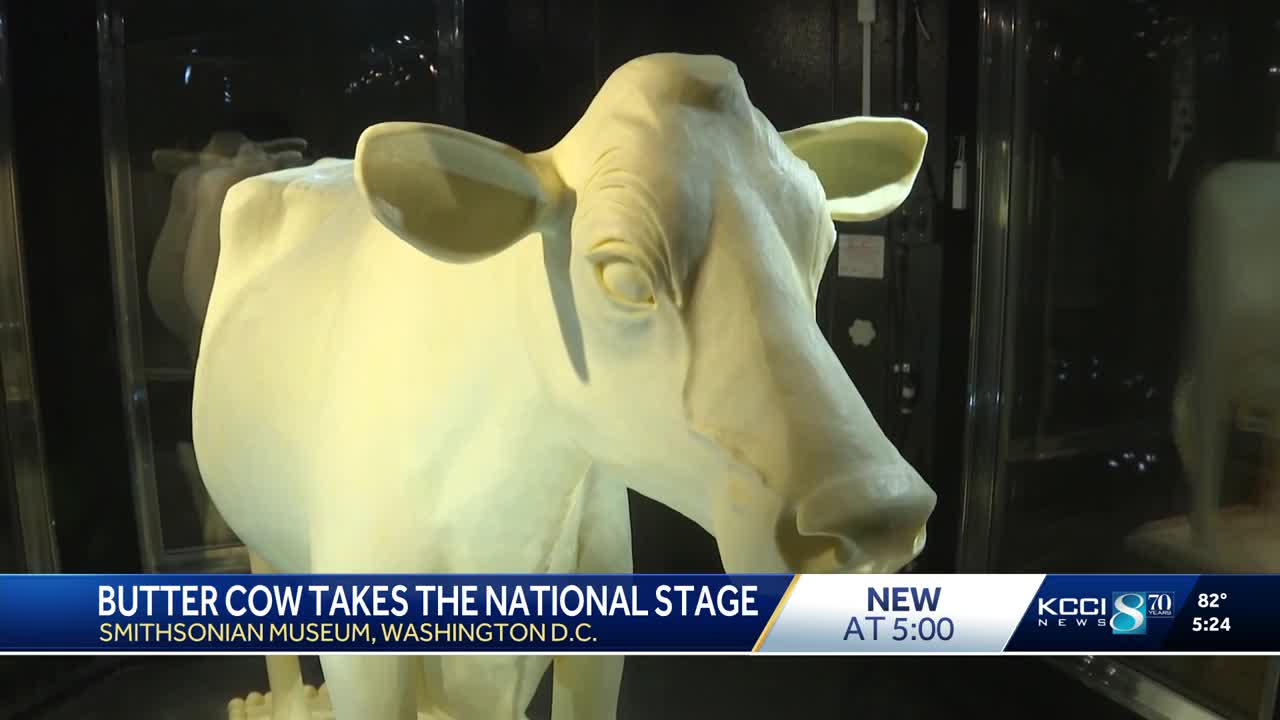 Iowa's butter cow displayed at Smithsonian Museum