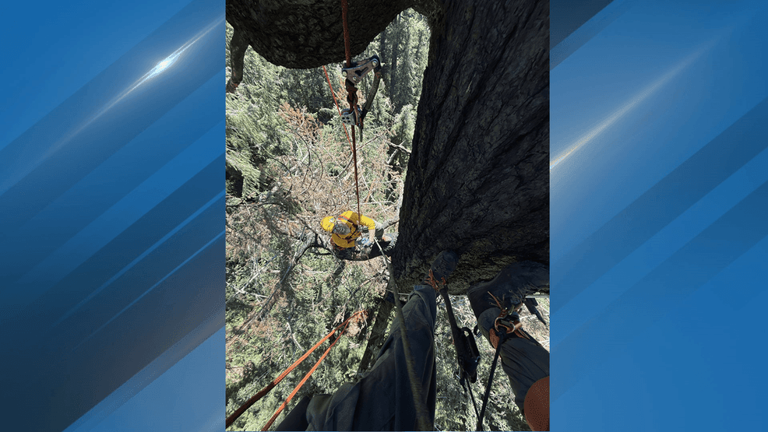 Firefighters keep watch on historic Doerner Fir after successful ...