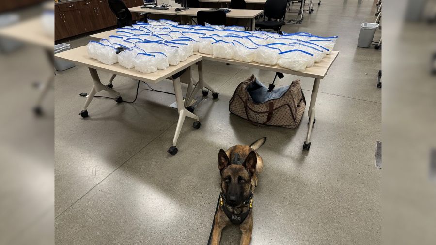 Massive drug bust uncovers more than 160 pounds of meth in Northern ...