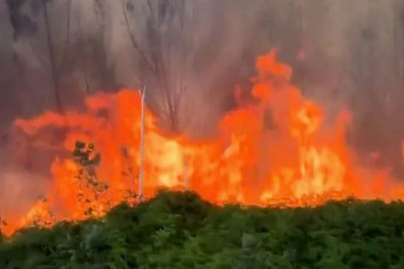 Florida weather: Biggest wildfire of 2025 rages as Miami chokes in ...