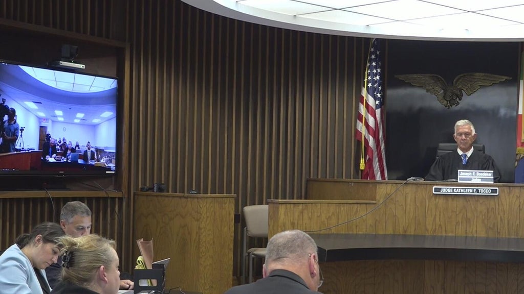 Judge delays ruling in Ashley Elkins case, cites needing more time to ...