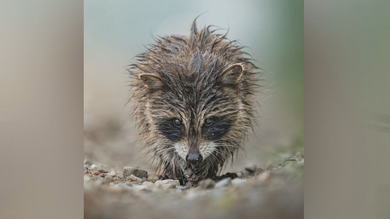This Petrolia, Ont., photographer is the runner up for a Canadian ...