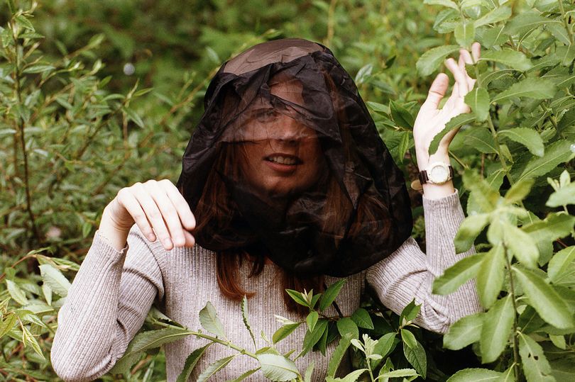 GP warns of new 'very real' threat of 'fatal' insect bites in UK - and ...