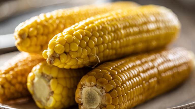 The Cooler Hack You Need For Making Corn On The Cob For A Crowd