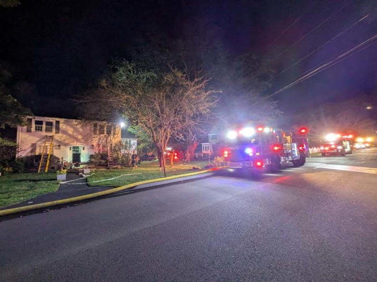 Two animals rescued in Litchfield structure fire