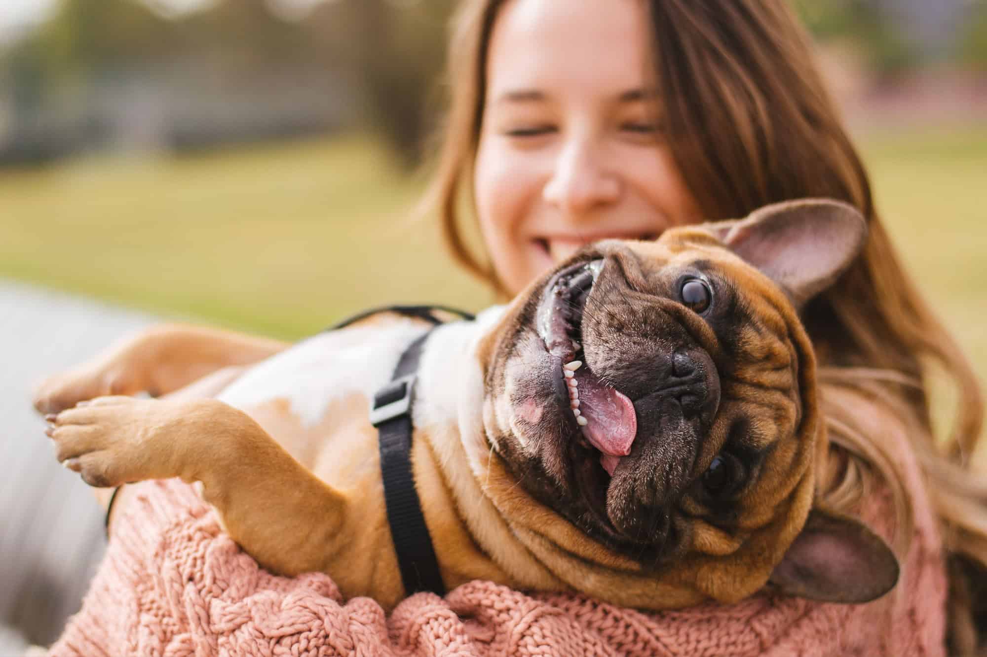 11 signs of a happy dog