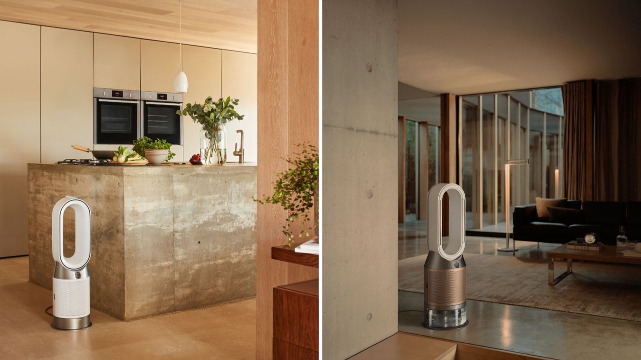 Dyson's brand new air purifiers are all-season skin heroes - here's how ...