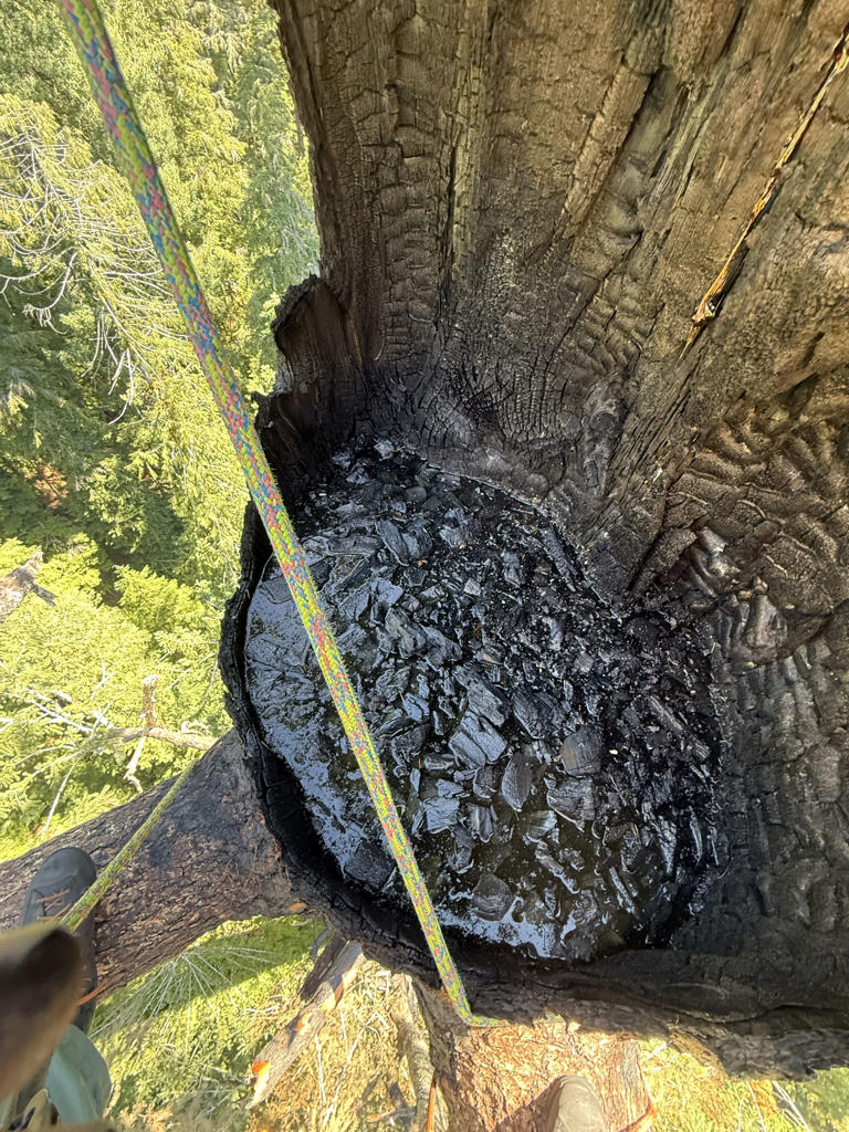 With one of the world’s largest trees ablaze, this crew began a daring ...