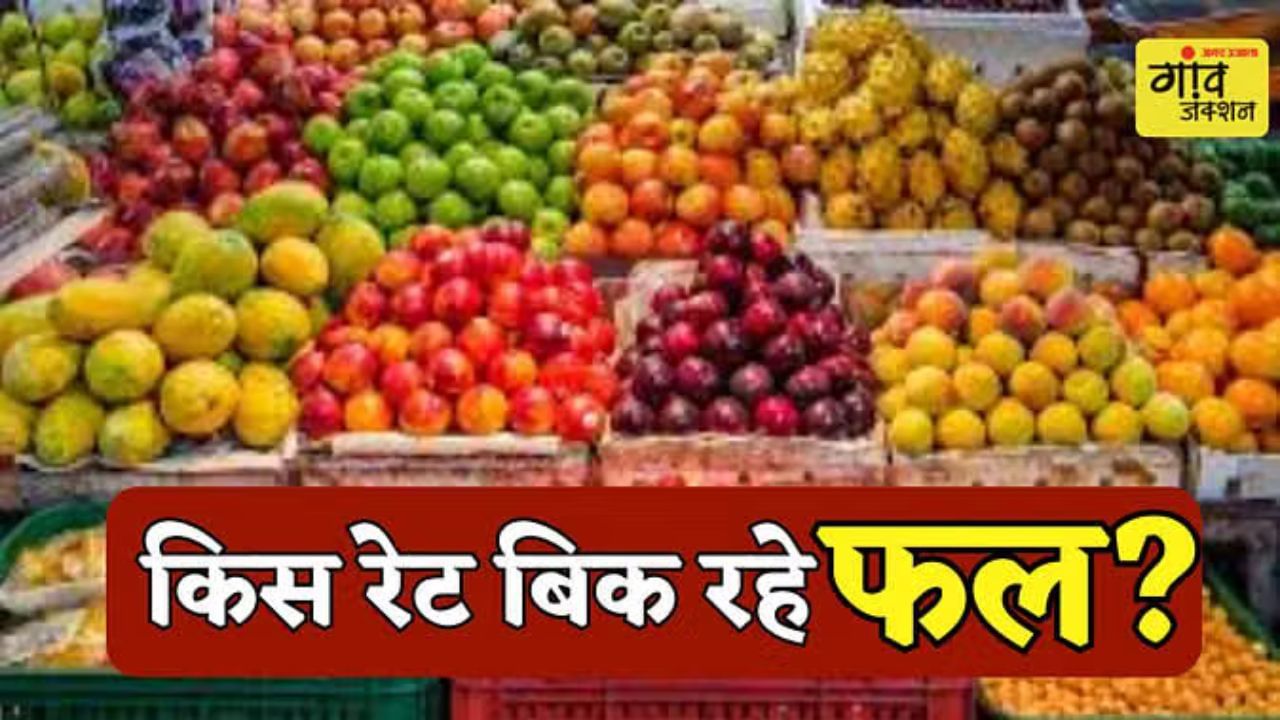 Fruit prices 17 Jan: लखनऊ मंडी में ₹2150 रहा केले का भाव, मेरठ में ...
